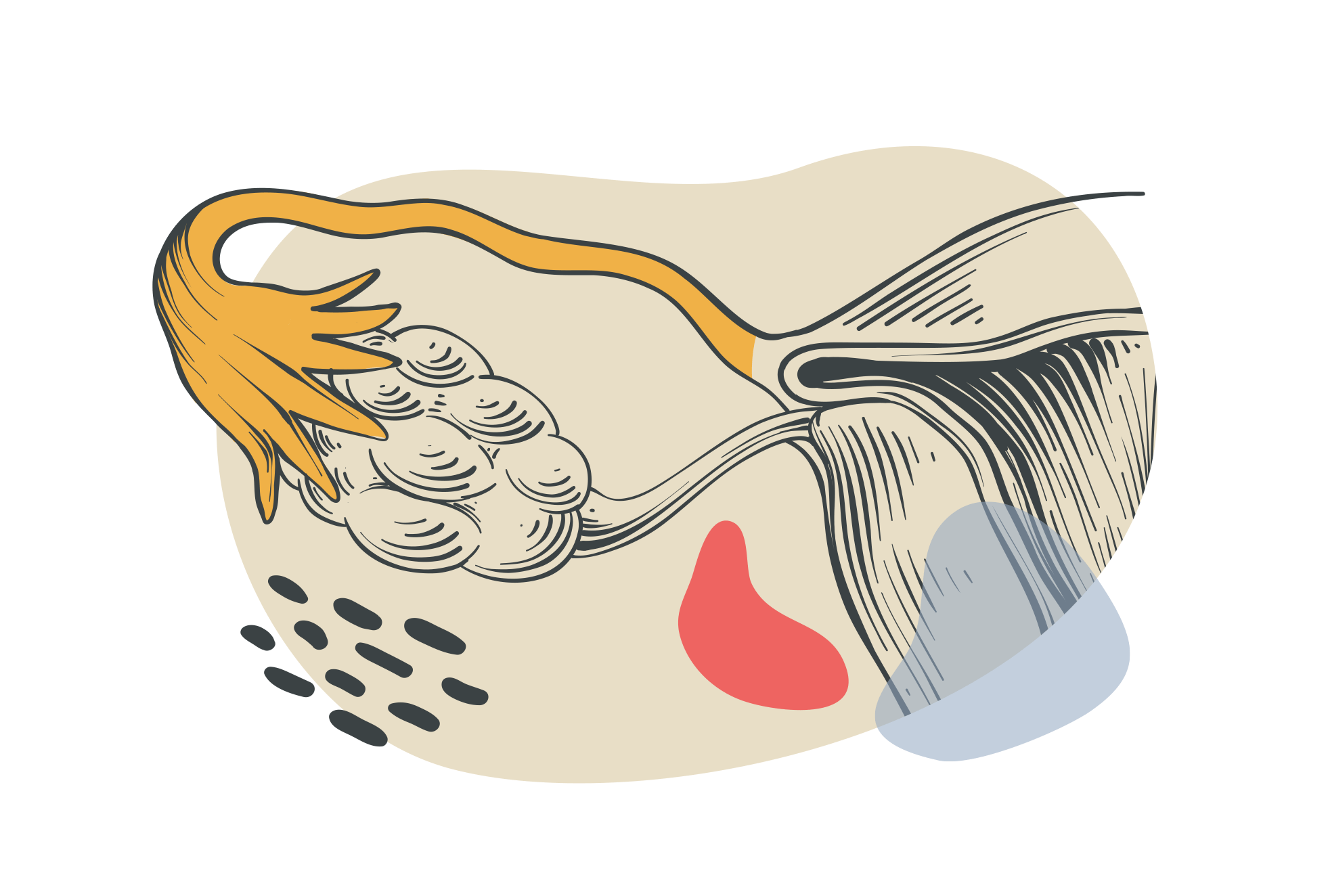 Everything You Should Know About The Fallopian Tubes