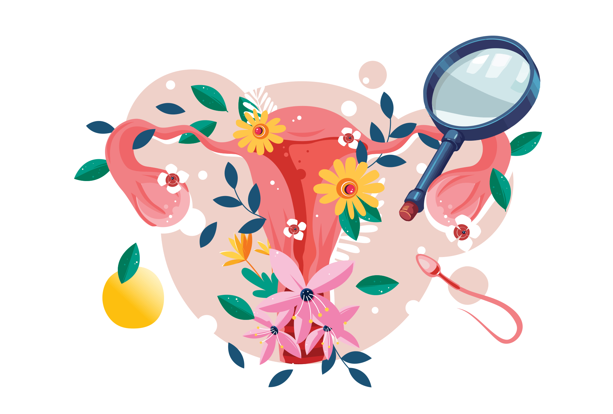 Wat Is De Kieskeurige Baarmoeder Theorie? Begrijp Selectieve ...